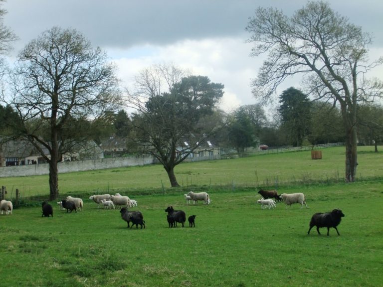 Priory Farm - Priory Estate