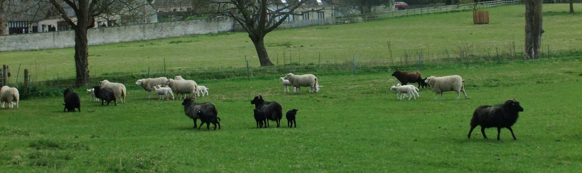 Priory Farm - Priory Estate