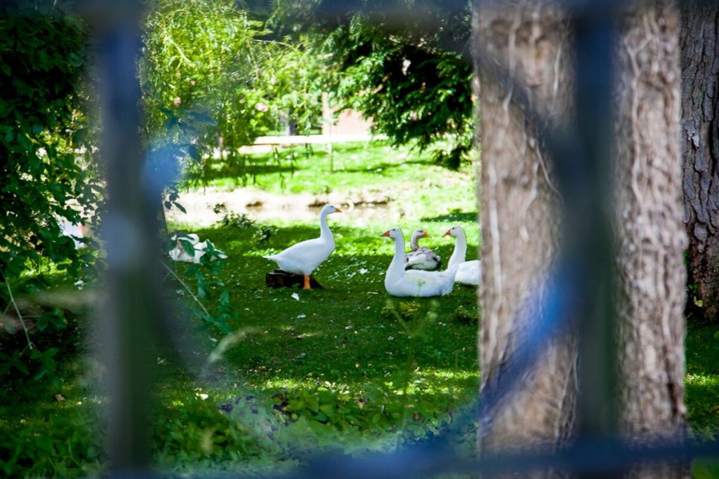 Priory Farm - Priory Estate